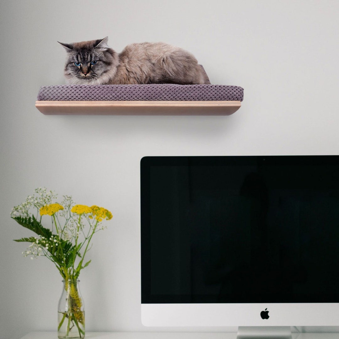 Cosyanddozy Beech Plywood Cat Shelf: Wall Mounted Cat Bed With Cushion ...