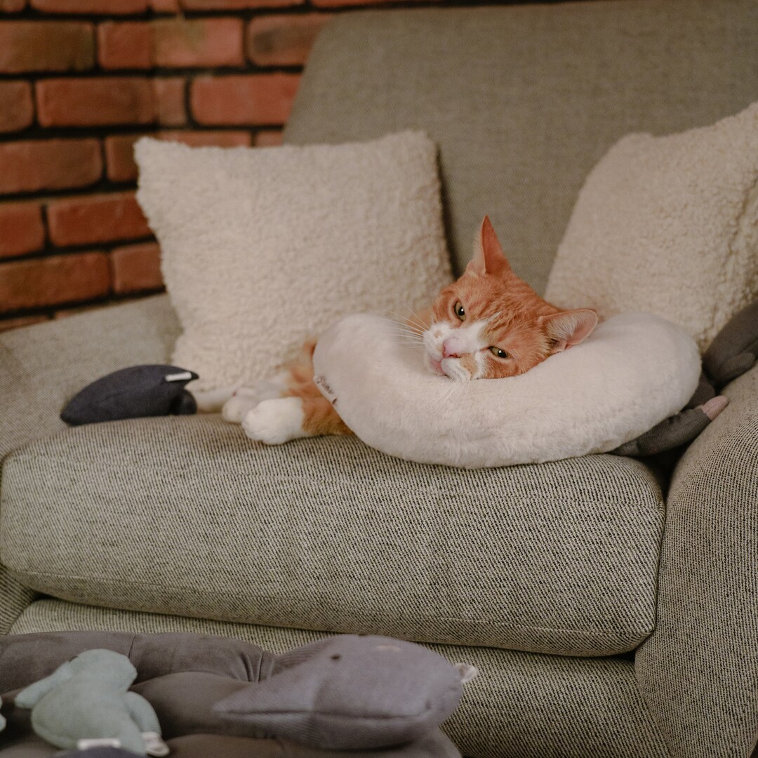 Zen Zone Pillows For Cats Comfy U Shaped Cat Neck Pillow Table