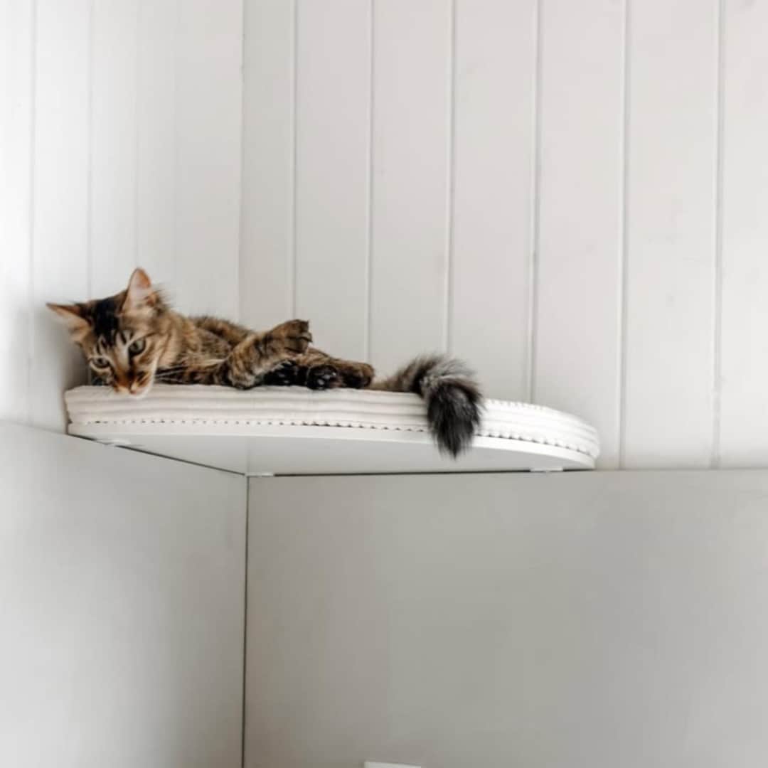 Cat Corner Shelf, Cat Wall Furniture, Wall Cat Shelf, Corner Cat Bed ...