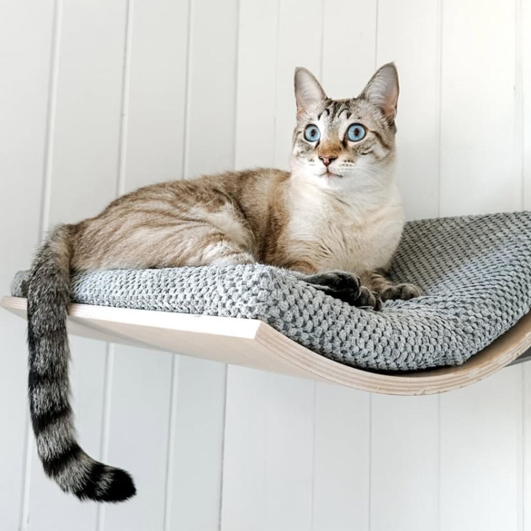 Wall Mounted Cat Wall Shelf, Cat Perch Made From Premium Plywood, Cat ...