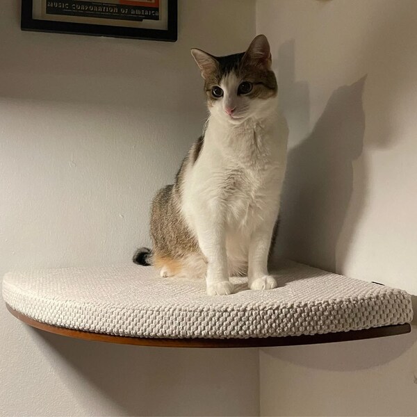 Cat Shelf Corner - Etsy
