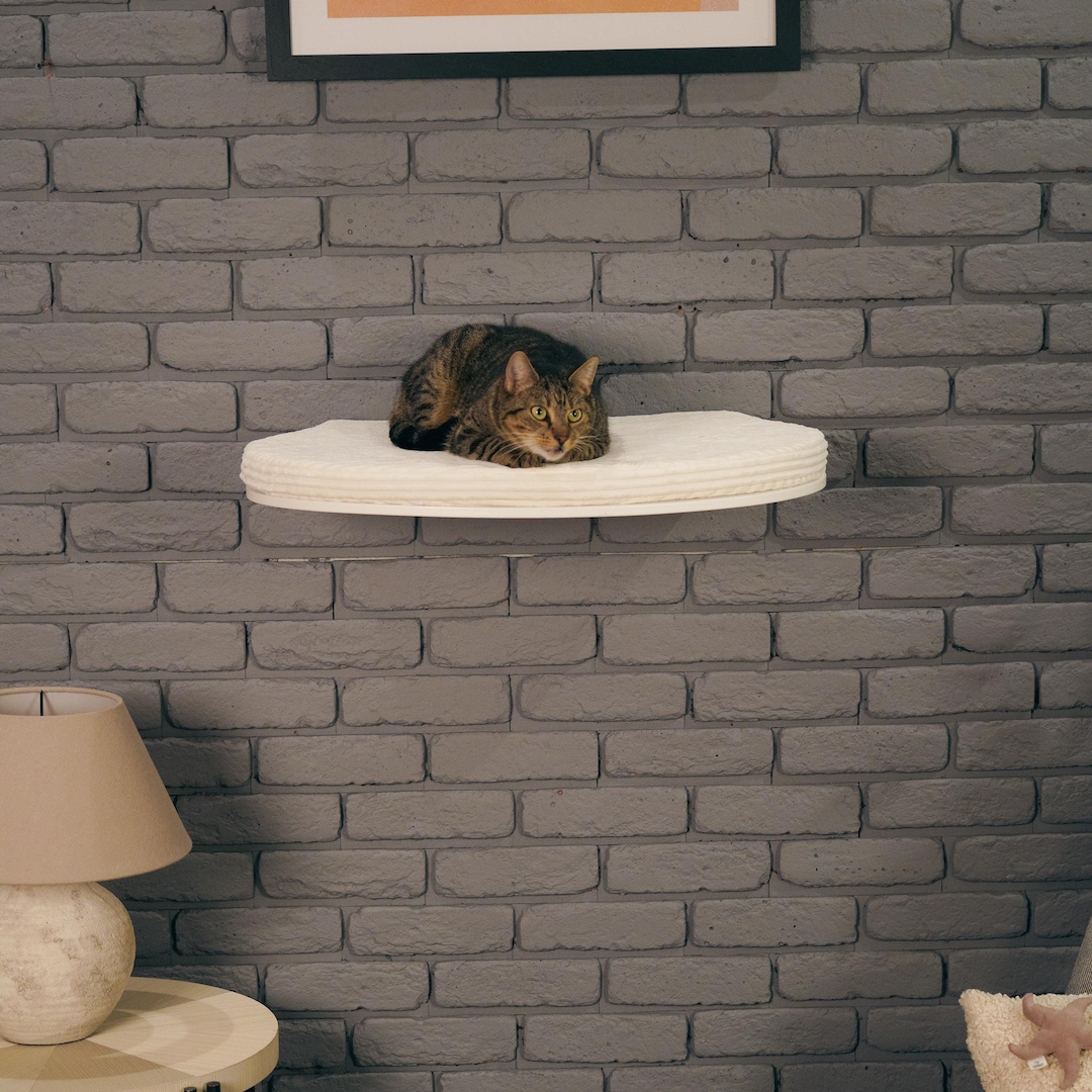 Flat Wall Cat Shelf: Beech Wood Floating Cat Bed With Cushion - Etsy