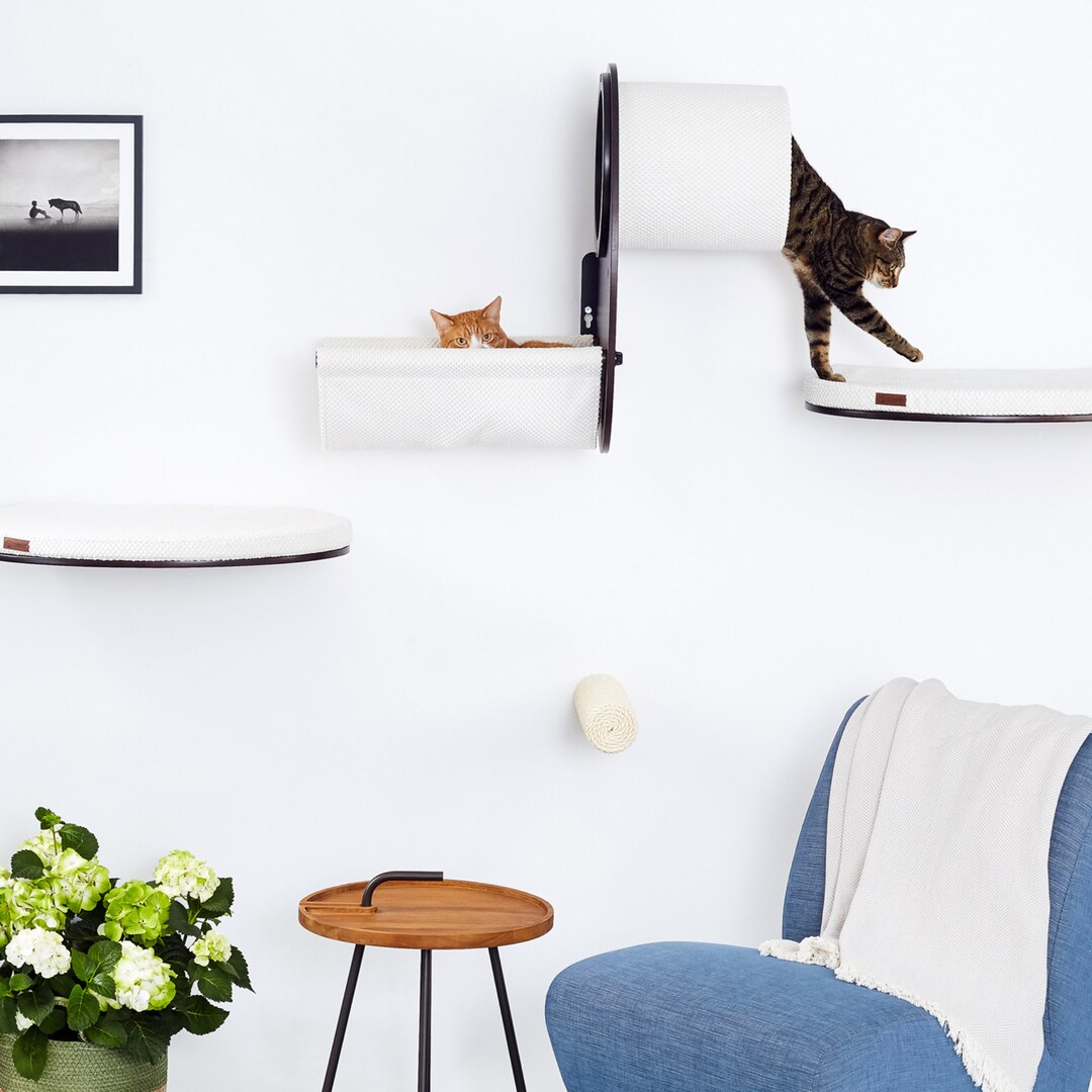 Cat Wall Furniture, Cat Climbing Wall, Cat Shelves, Catwalk Platform ...