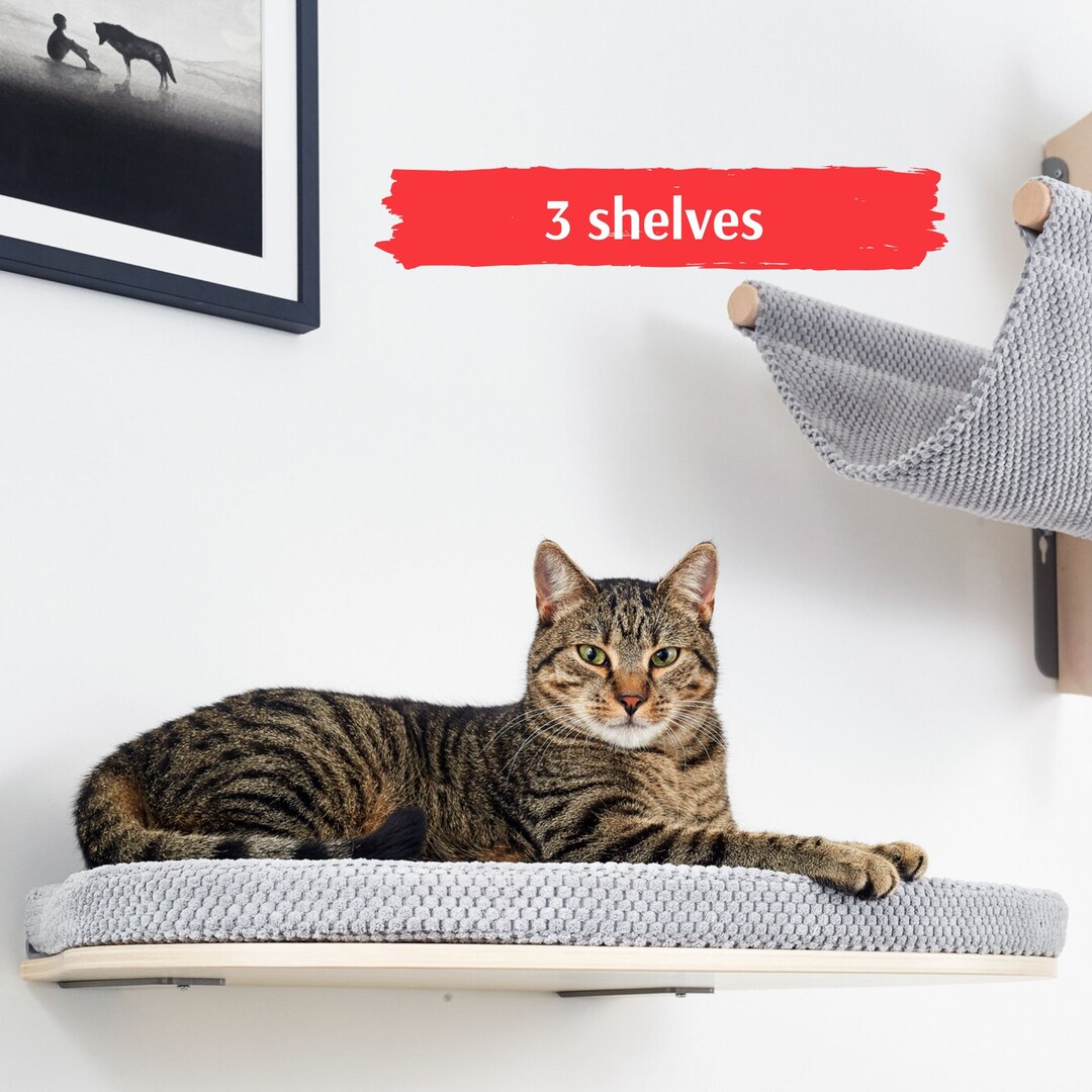 Set of 3 Beech Plywood Cat Wall Shelves With Washable Cushion - Etsy UK