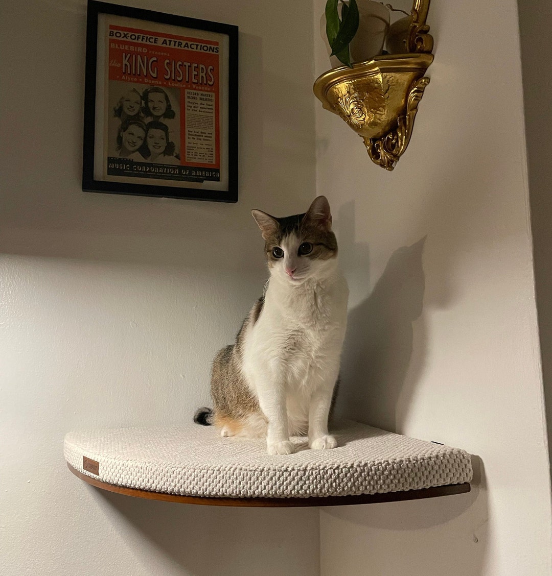 Corner Cat Shelf, Cat Wall Furniture, Corner Cat Wall Bed, Cat Perch ...