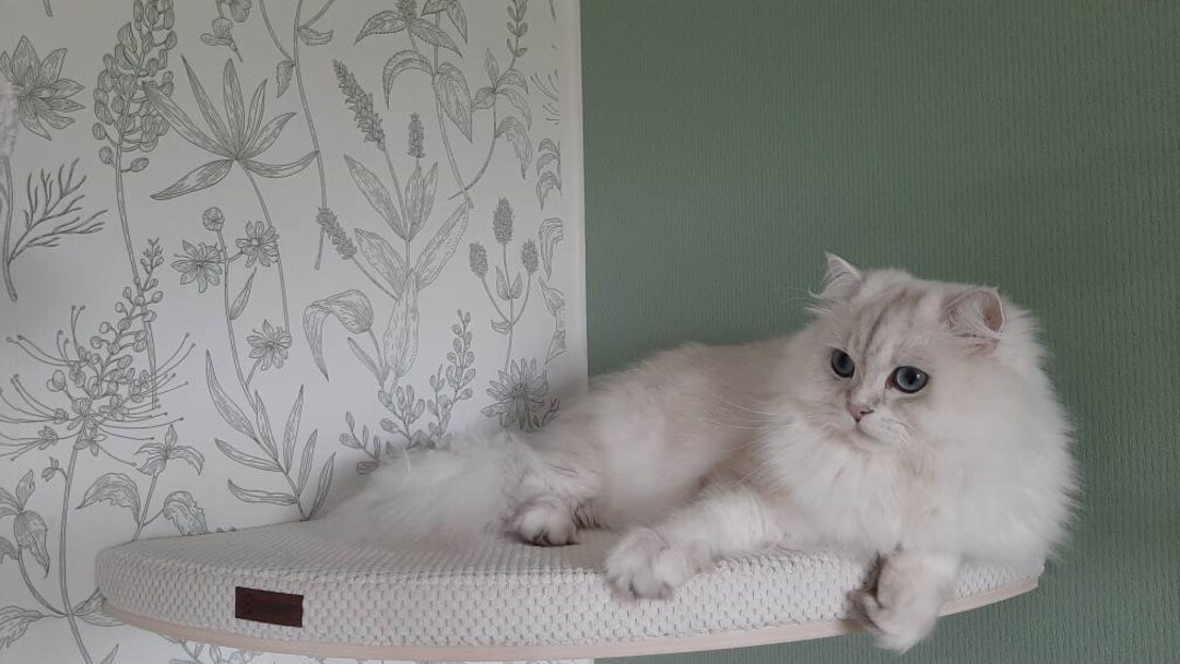 Cat Corner Shelf, Corner Cat Wall Bed, Cat Perch Floating, Modern Cat ...