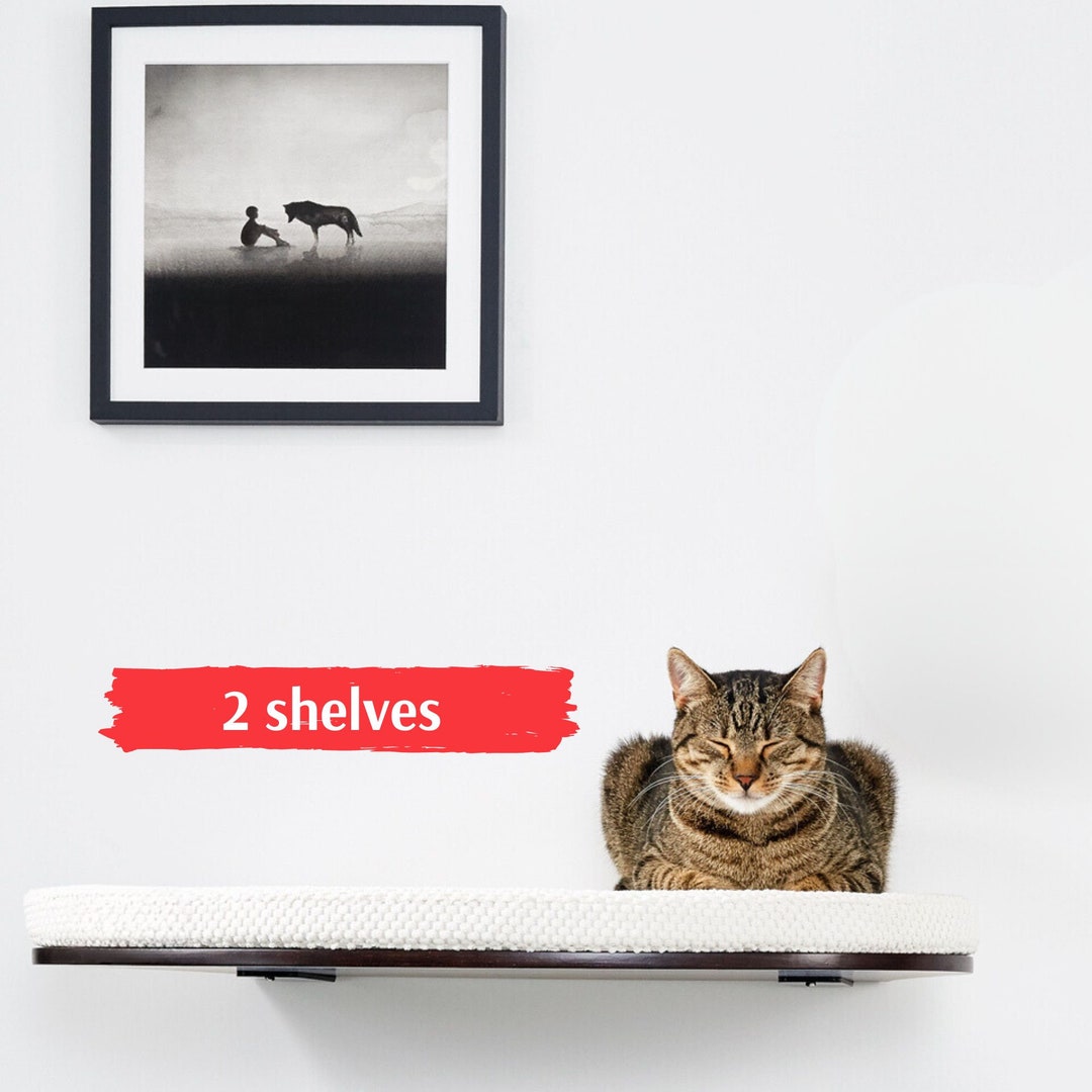 Set of 2 Beech Plywood Cat Shelves: Wall Mounted Cat Tree - Etsy