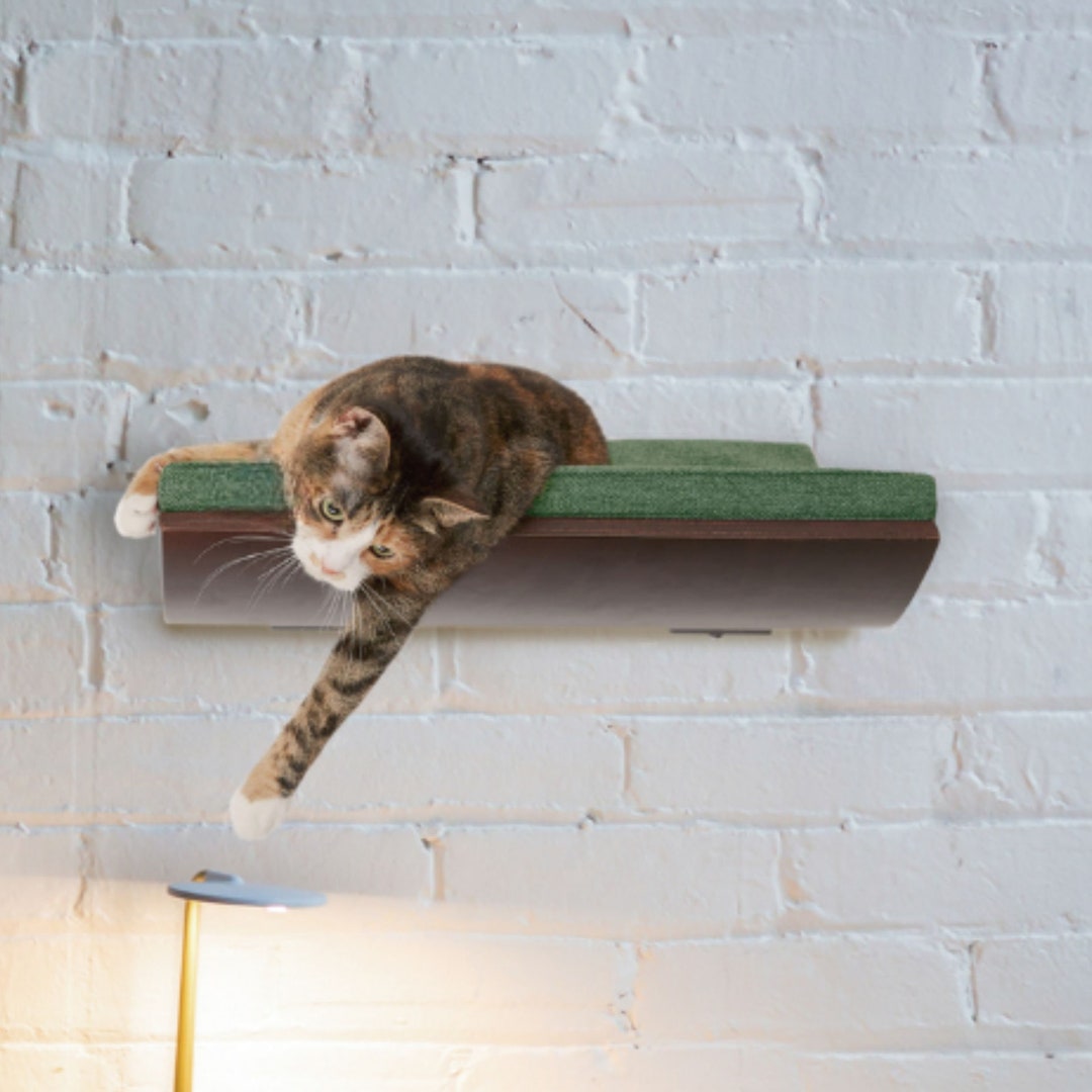 Wall Mounted Cat Wall Shelf Cat Platform Perch Made From Premium Sloid ...