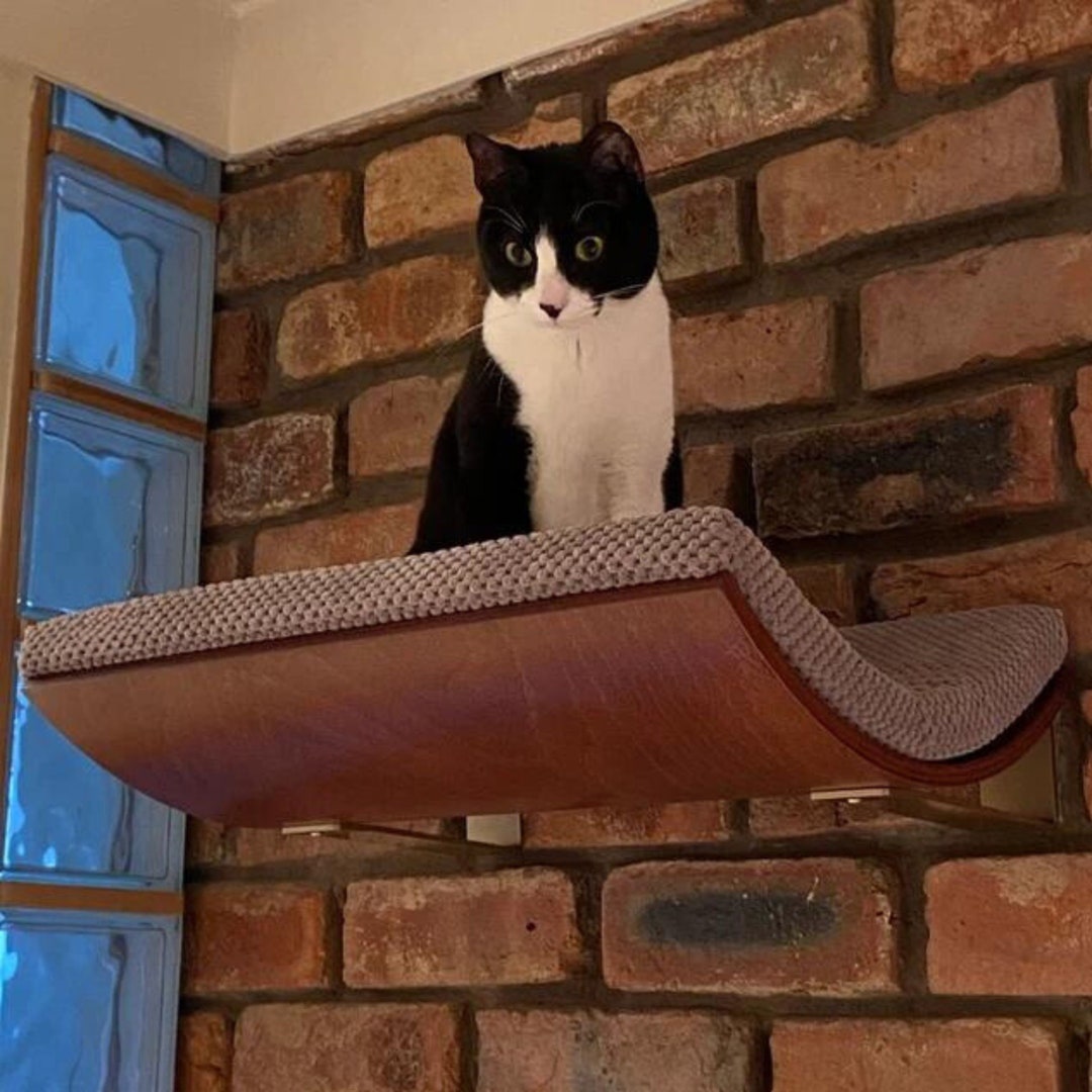 Beech Plywood Cat Shelf: Wall Mounted Bed With Washable Cushion - Etsy