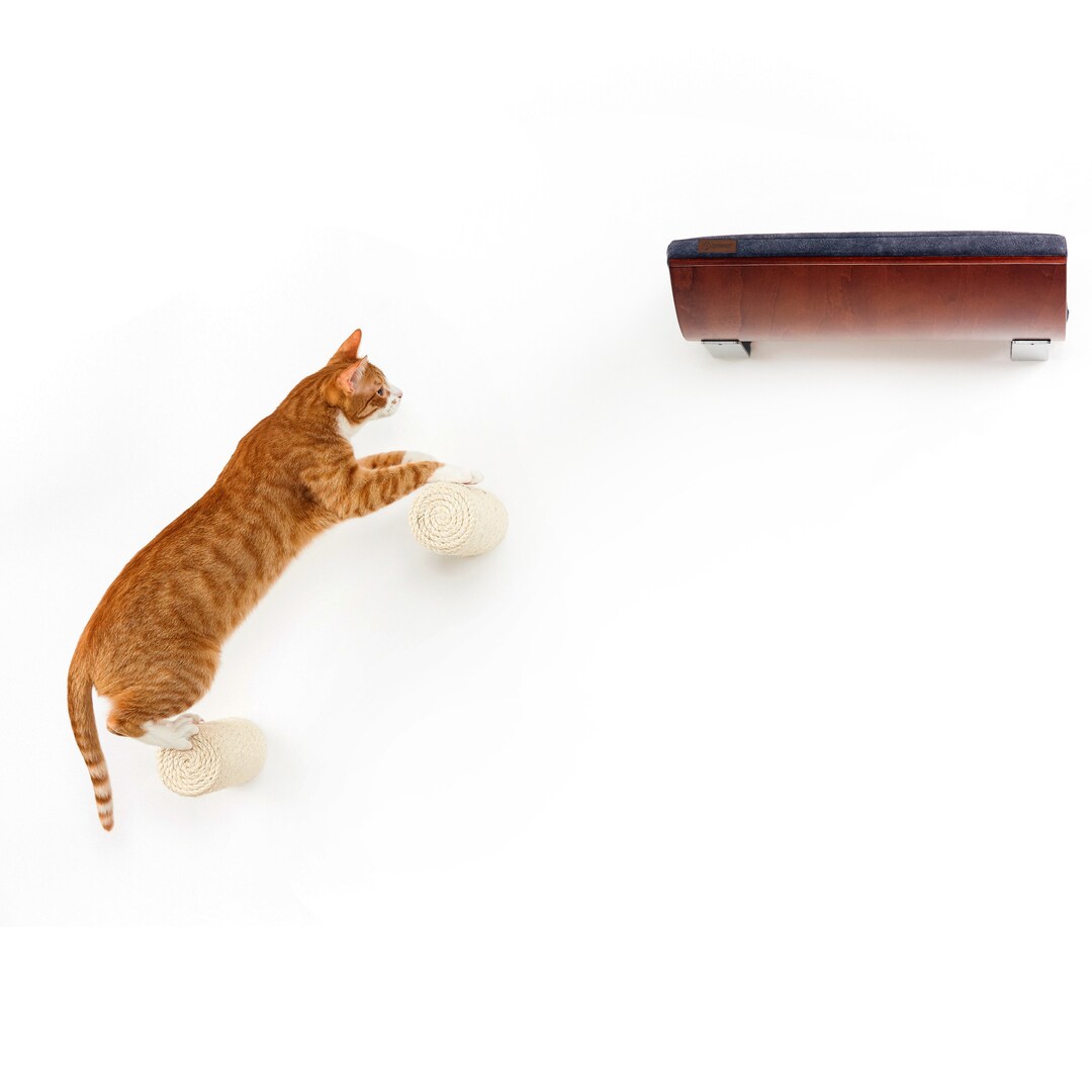 Cat Steps for Wall, Cat Climbing Wall, Cat Play Furniture, Sisal Kitty ...