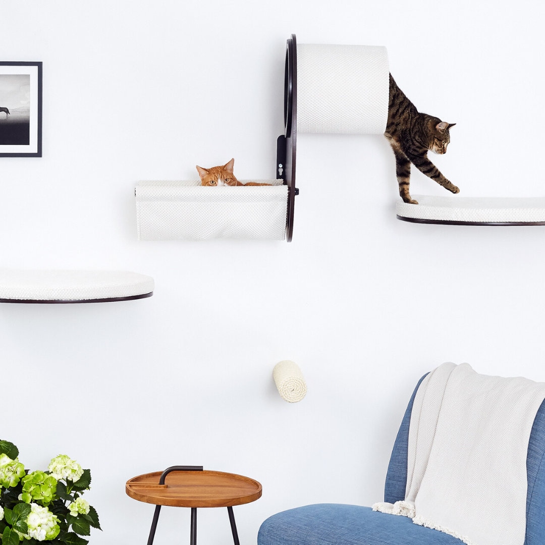 Cosyanddozy Cat Climbing Wall Set: Beech Catwalk Shelves & Sisal Step ...