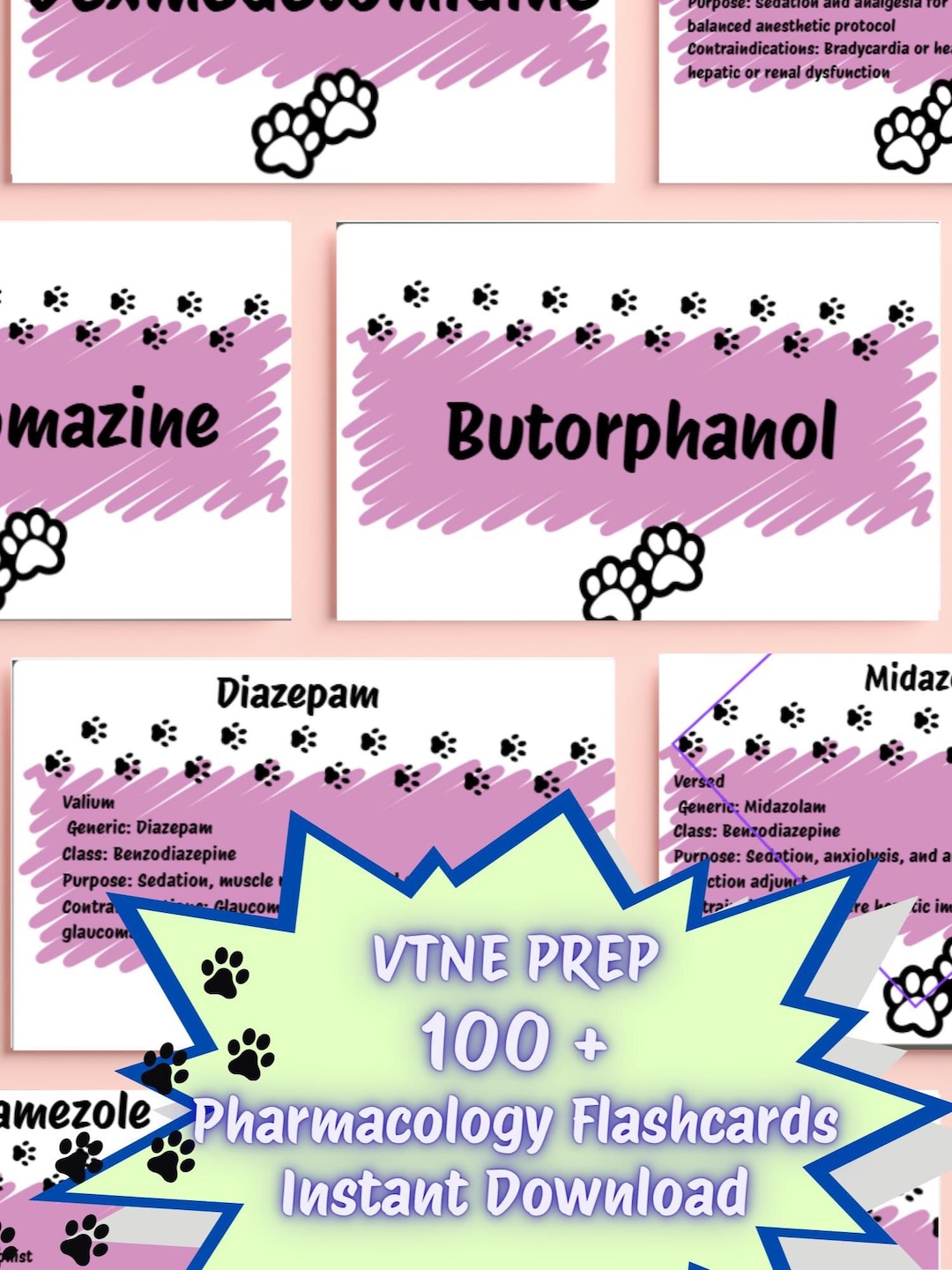 100+ Veterinary Drug Flashcards Study Cards for Vet Techs Drug Names ...