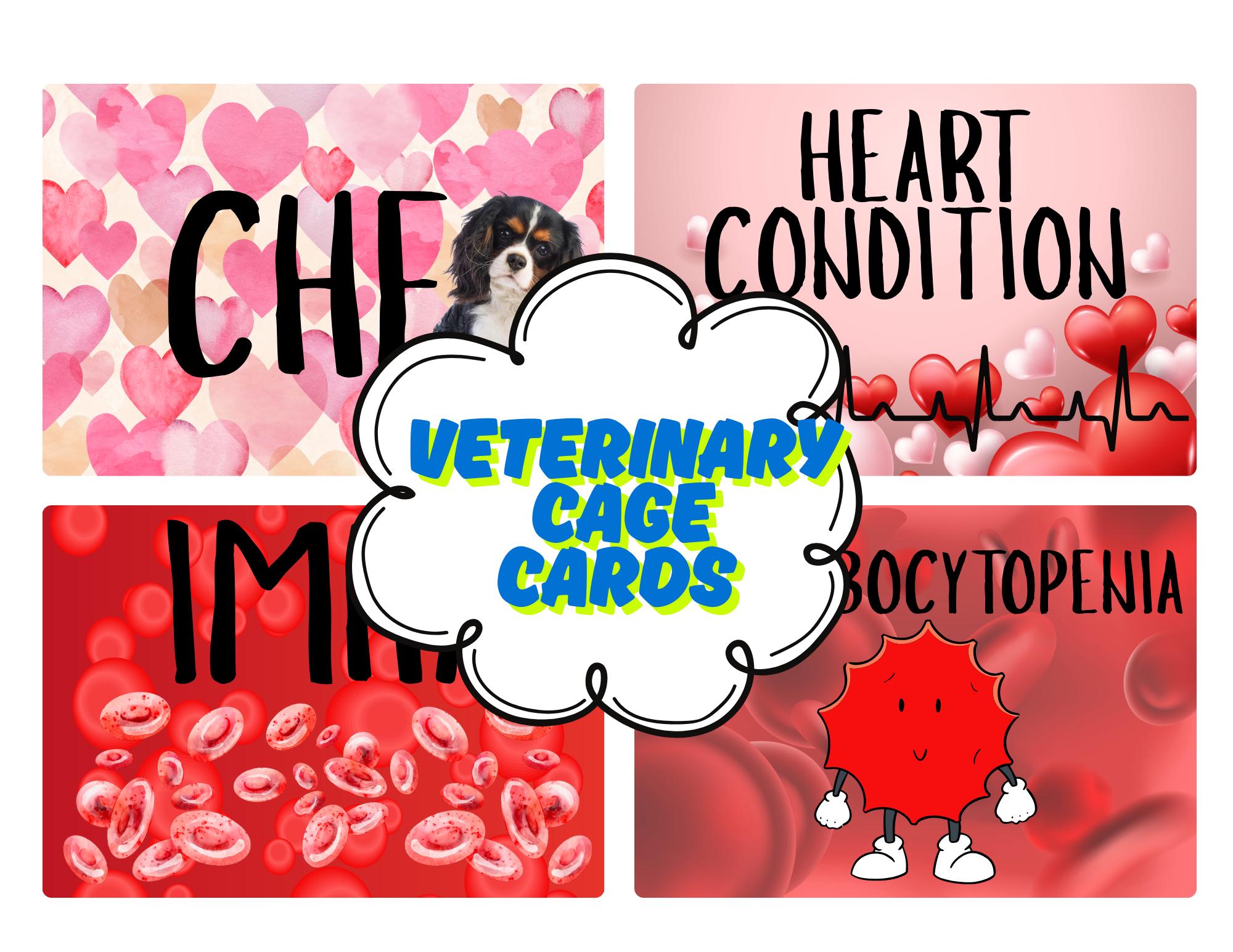 Digital Printable VETERINARY CAGE CARDS Printable – Digital Download ...