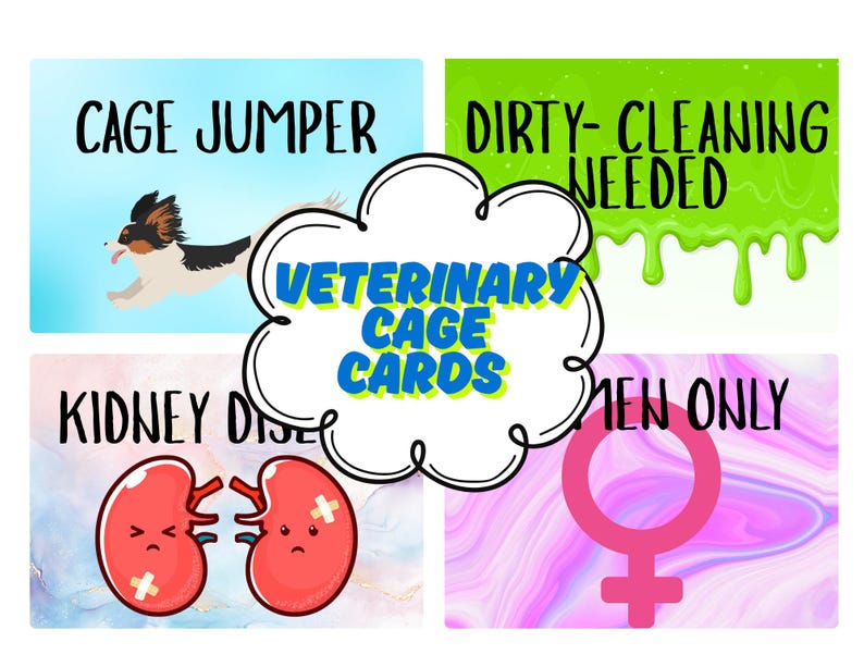 Digital Printable VETERINARY CAGE CARDS Printable – Digital Download ...
