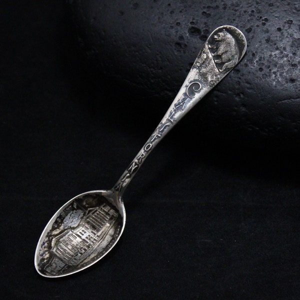 Silver Spoon Fish - Etsy