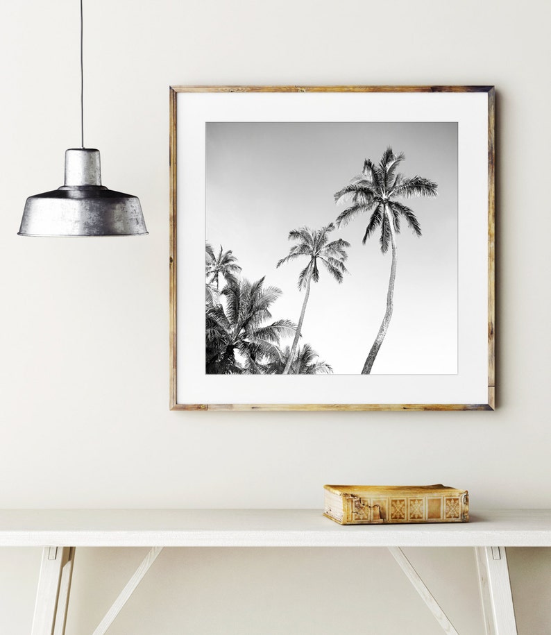 Black and White Square Print Large Square Wall Art Palm - Etsy