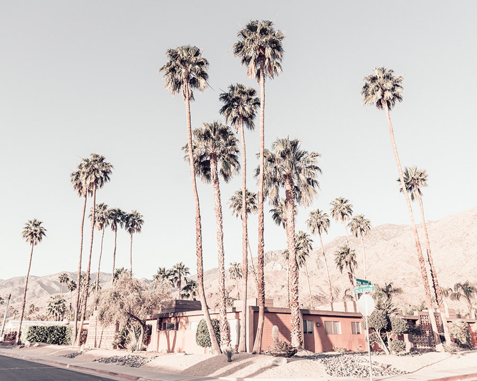 Palm Springs Wall Art, Large Palm Springs Photography, Mid Century ...