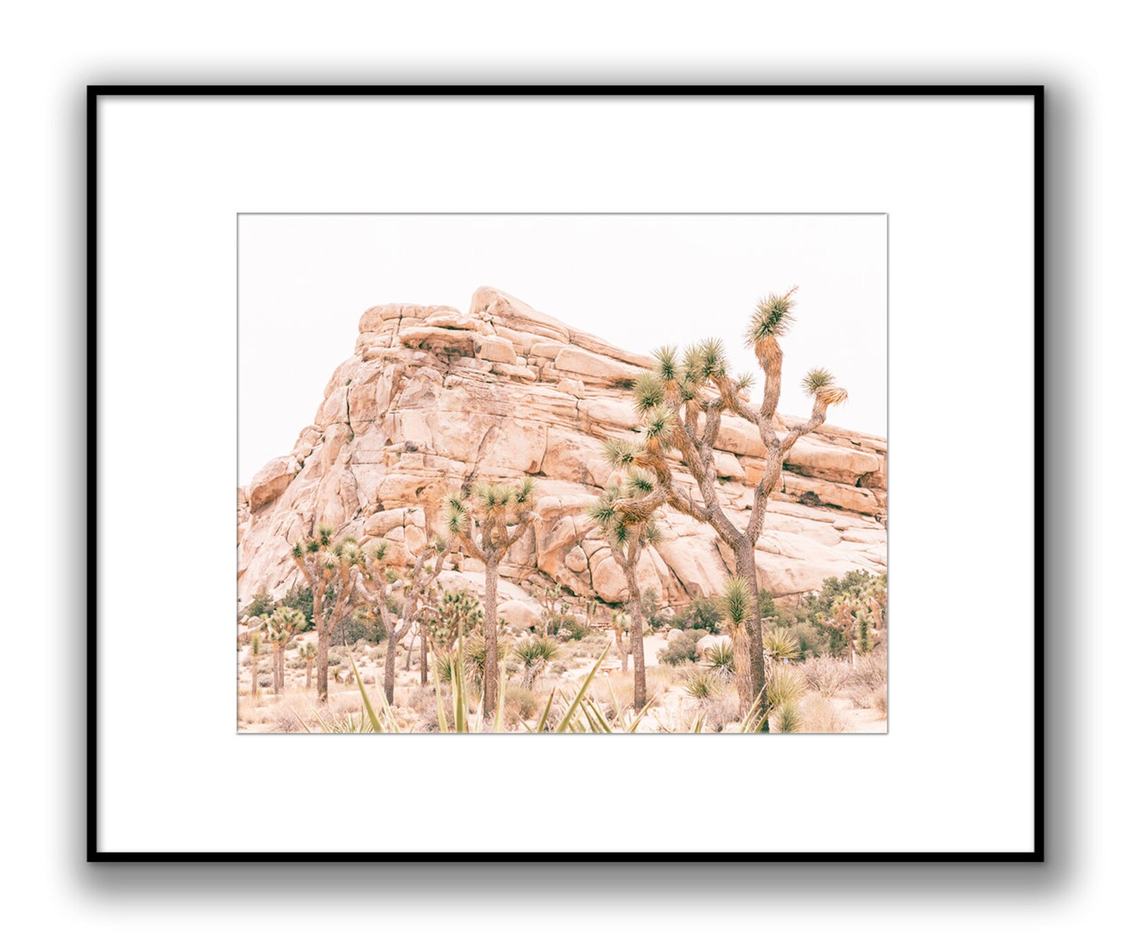 Joshua Tree Photography Modern Joshua Tree Print Desert - Etsy
