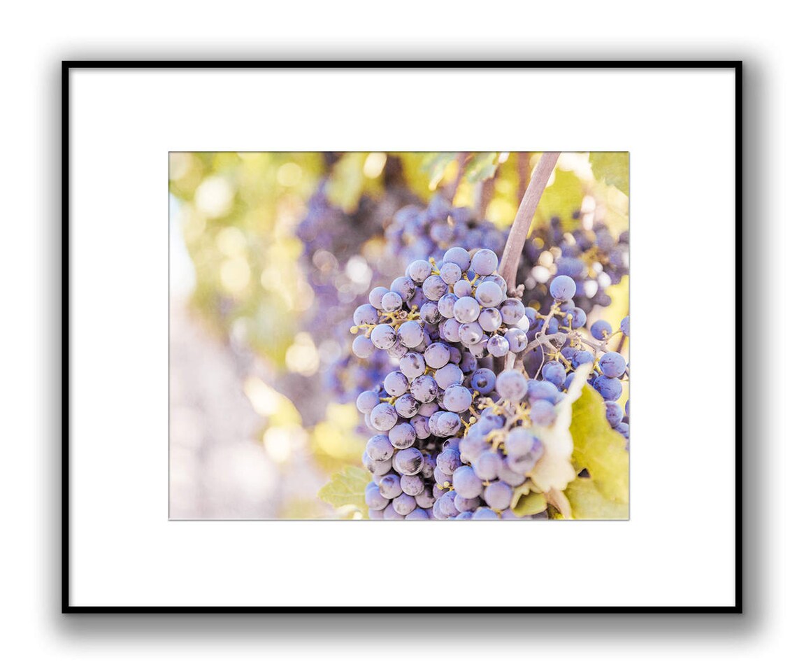Grape Wall Print Kitchen Wall Decor Nature Photography Napa - Etsy