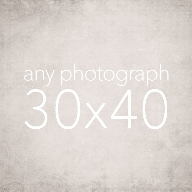 40 X 30 Wall Art - Etsy