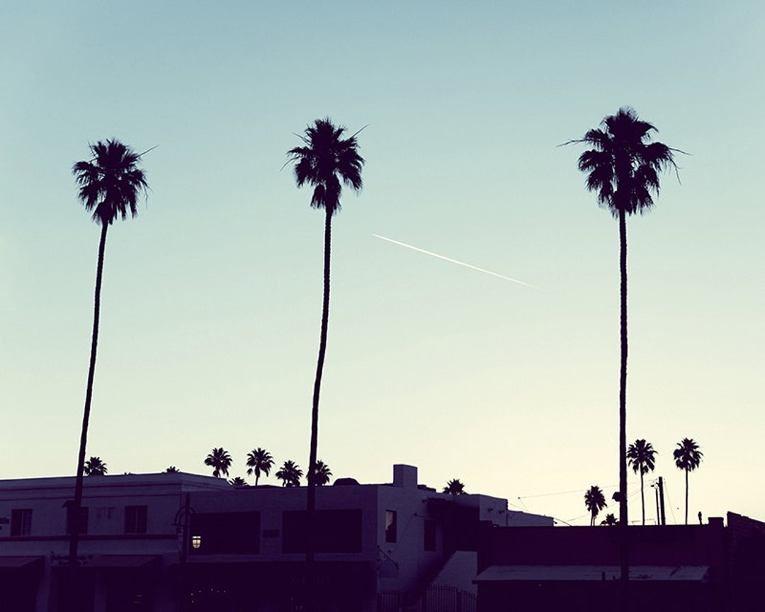 Palm Springs Photography, Light Blue Wall Art, Palm Tree Photo, Desert ...