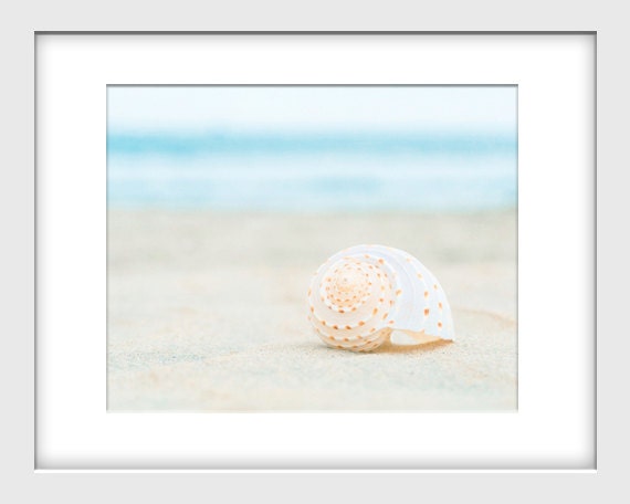 Beach Photography, Seashell Print, Shell, Aqua, Blue, Beige, White ...