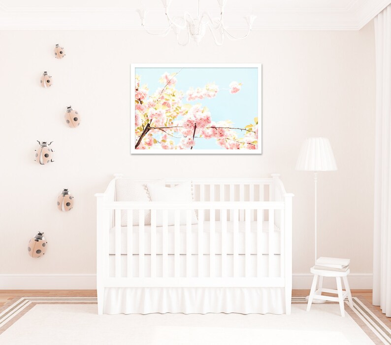 Flower Photography Spring Flower Blooms Pink Flowers Baby | Etsy