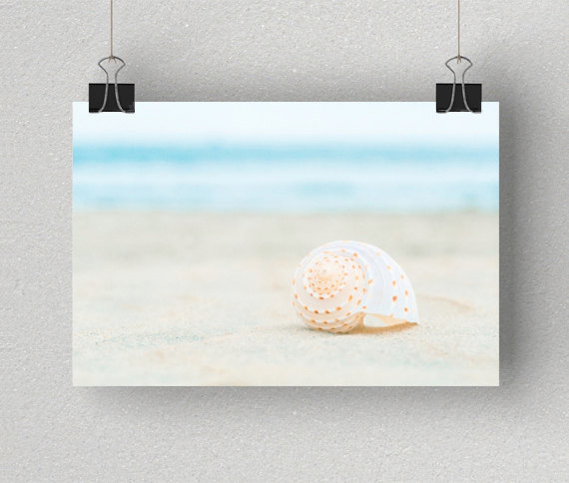Beach Photography, Seashell Print, Shell, Aqua, Blue, Beige, White ...