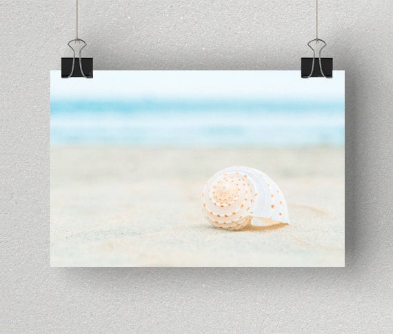 Beach Photography, Seashell Print, Shell, Aqua, Blue, Beige, White ...