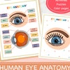 Human Eye Anatomy Printable Learning Binder, Toddler Activities ...