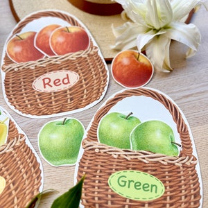 Apple Color Matching Game: Montessori Toddler Busy Book (printable) - Etsy