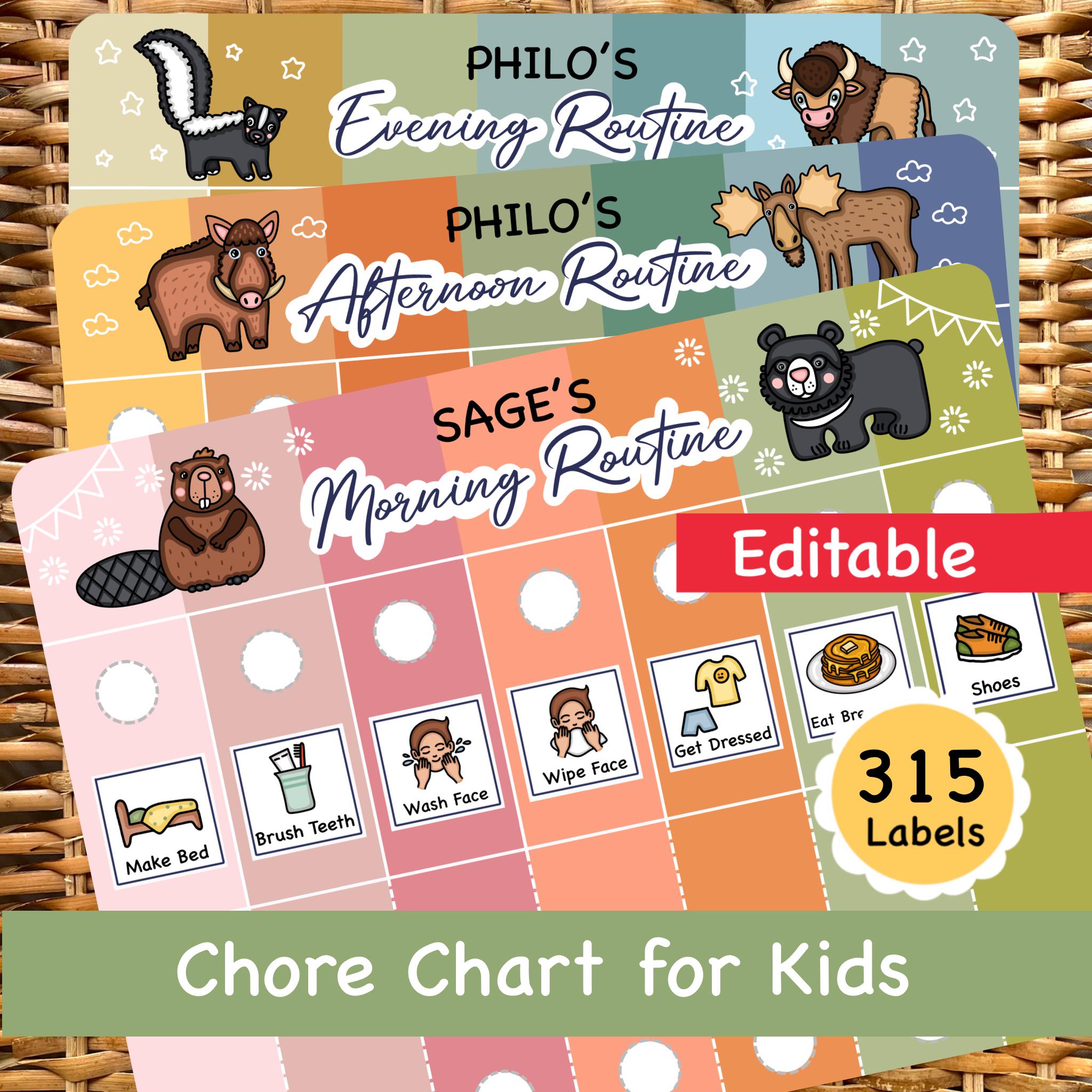 Editable Kids Routine Chart: Morning, Afternoon, Evening Visual ...