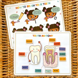 Dental Hygiene Printable Learning Binder, Toddler Activities, Preschool ...