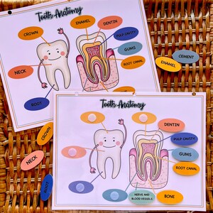 Dental Hygiene Printable Learning Binder, Toddler Activities, Preschool ...