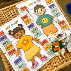 Body and Face Parts Printable Learning Pack for Toddler, Preschool, Pre ...