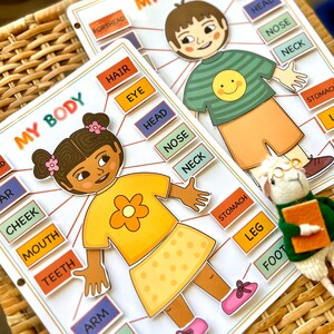 Body and Face Parts Printable Learning Pack for Toddler, Preschool, Pre ...