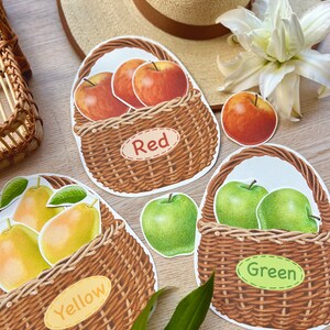 Apple Color Matching Game: Montessori Toddler Busy Book (printable) - Etsy