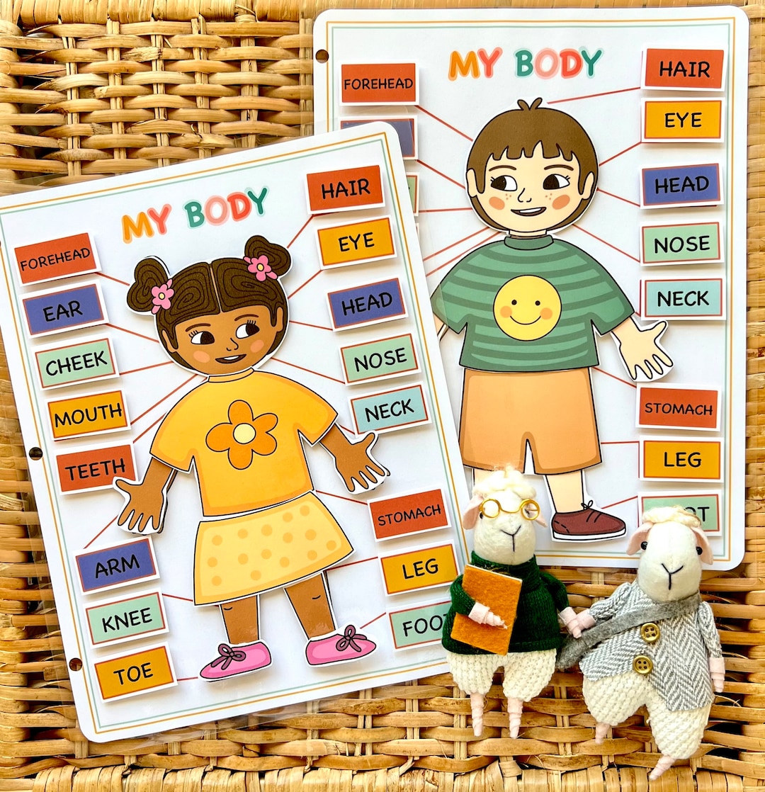 Body and Face Parts Printable Learning Pack for Toddler, Preschool, Pre ...