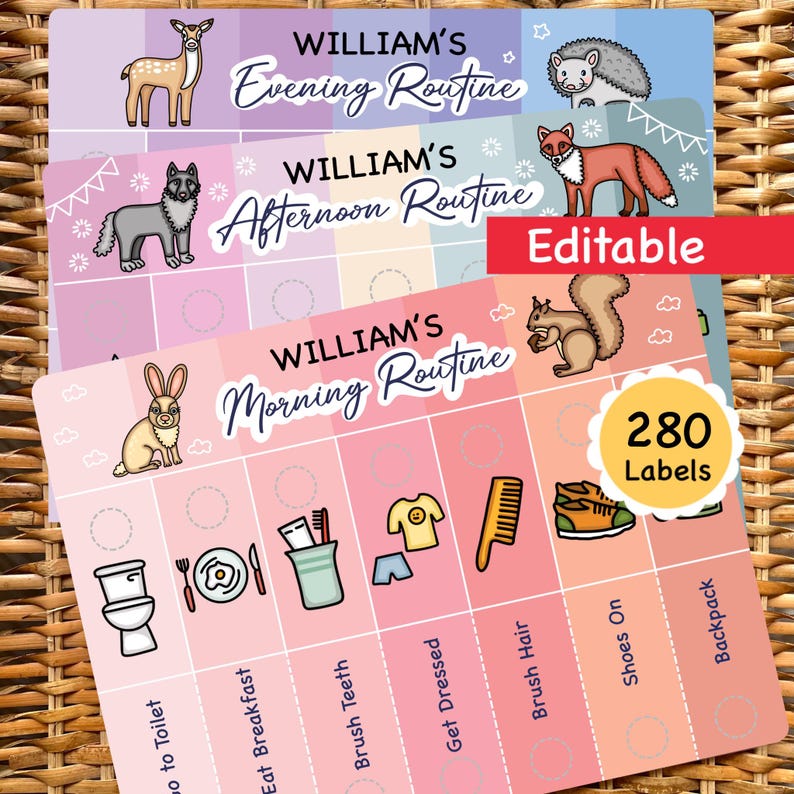 Editable Kids Routine Chart: Visual Schedule, Chore Chart (digital ...