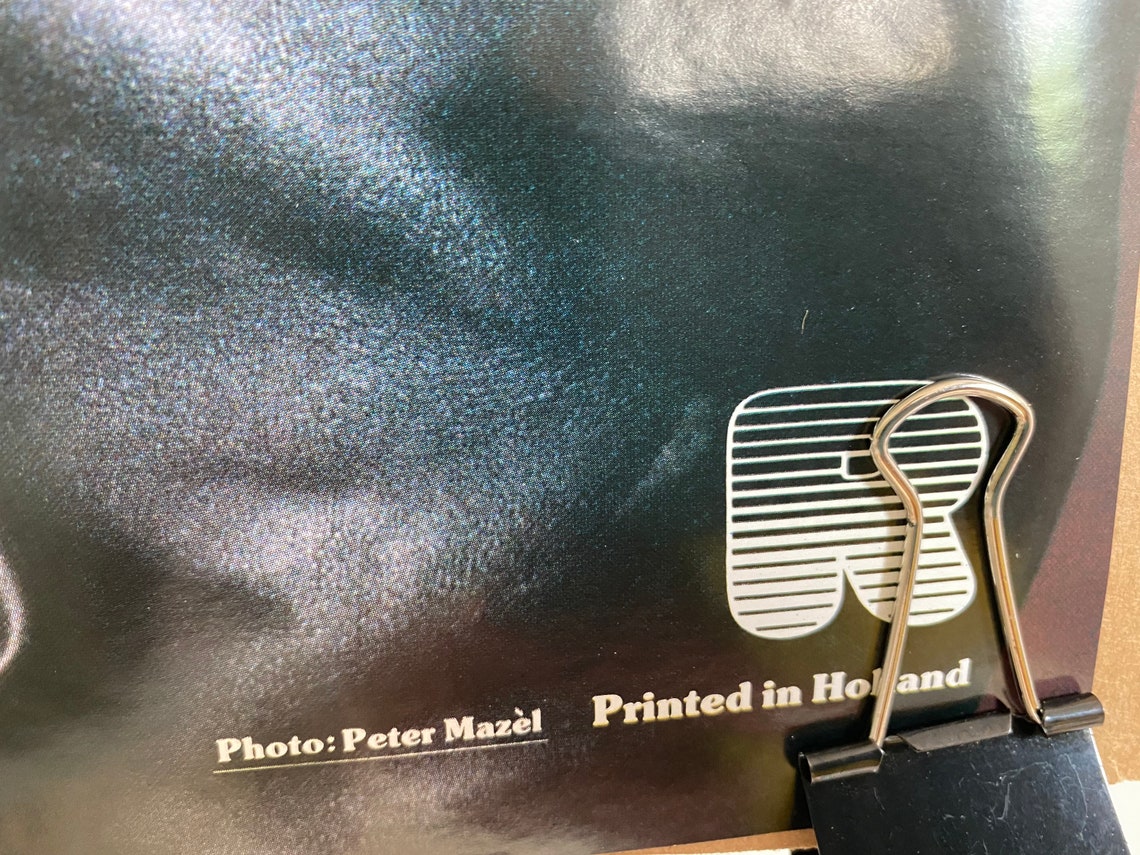 Vintage Stray Cats Poster New Old Stock Poster Original - Etsy