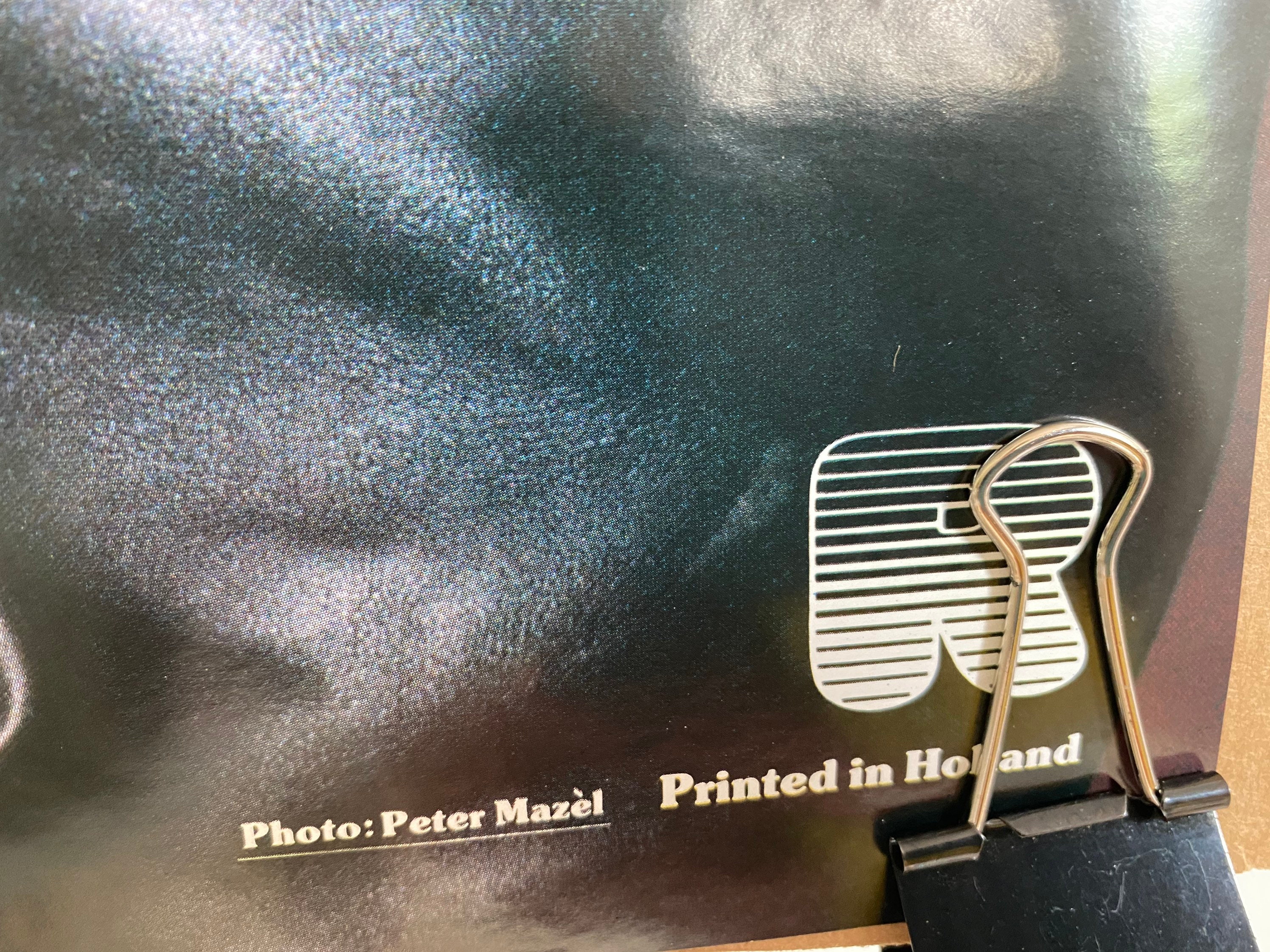 Vintage Stray Cats Poster New Old Stock Poster Original - Etsy