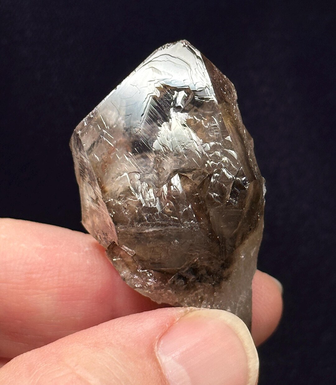 Elestial Smoky Quartz Scepter, Crystal, Sirian Star Family, Grounding ...