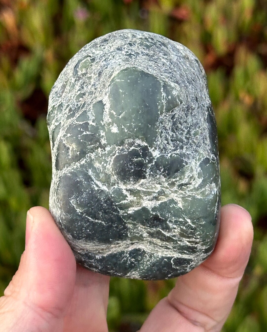 Big Sur Blue/gray Jade Palm Stone, Natural Ocean Tumbled, Nephrite ...