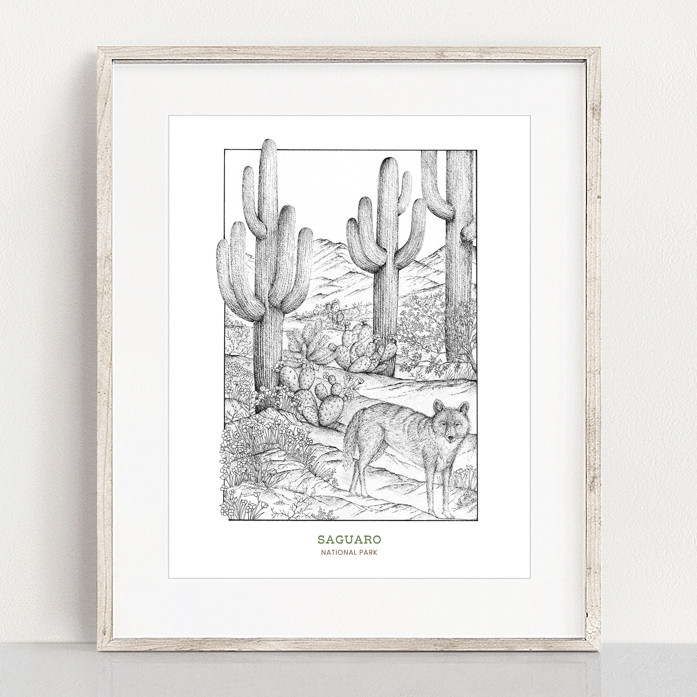 Saguaro National Park - Etsy