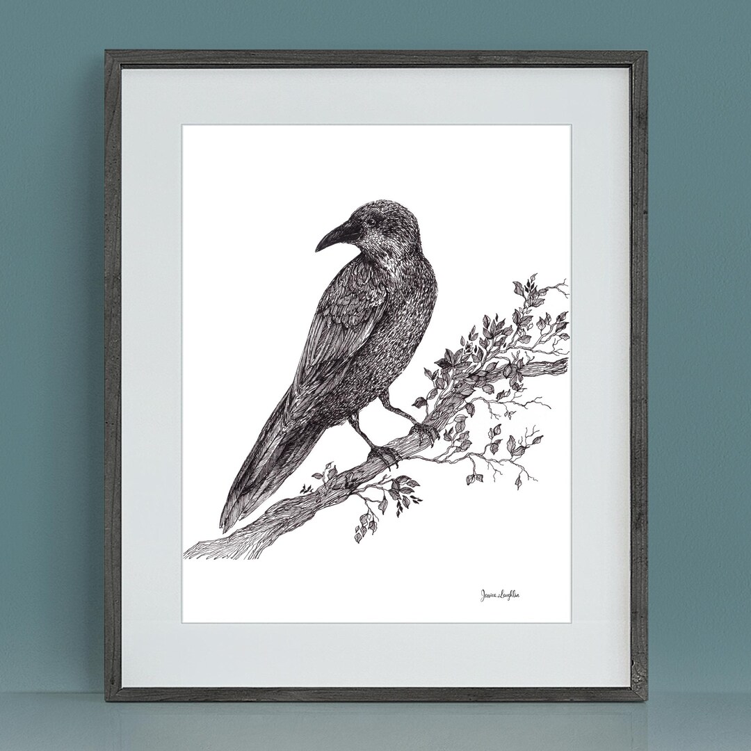 The Crow Pen & Ink Print: Signed With Mat (11x14) - Etsy