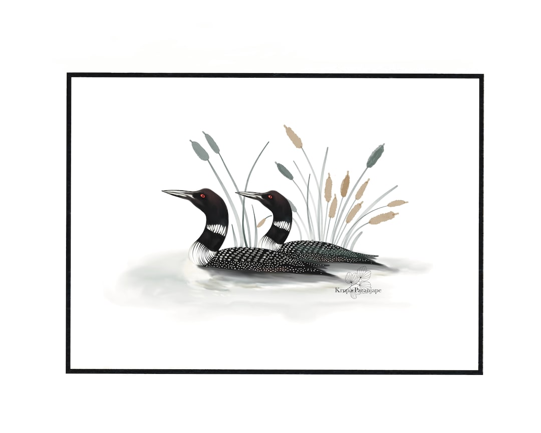 Loon Art Print, Bird Art Print, Minnesota Loons, Common Loon, Loon ...