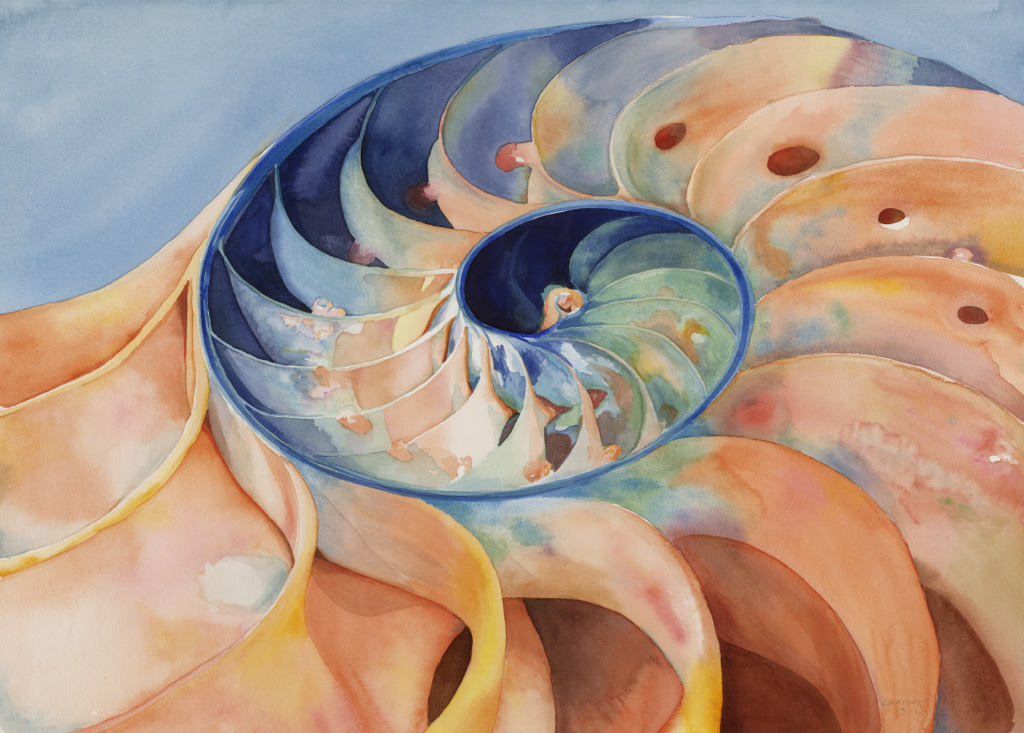 Nautilus Watercolor Art Print, Digital Seashell Giclée Wall Decor Shell ...