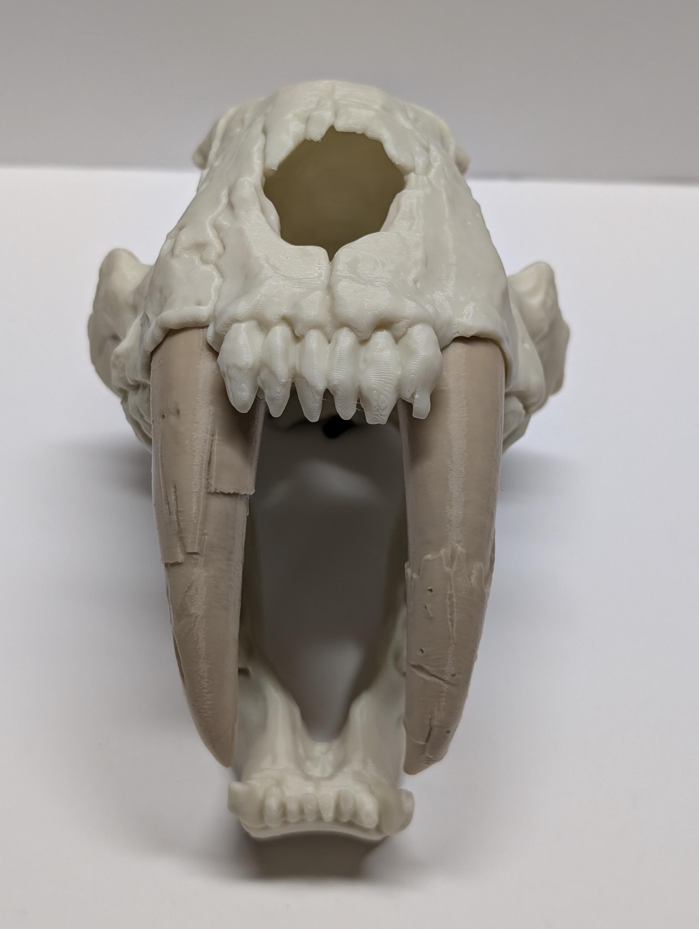 Awesome Sabertooth Tiger 3D Printed Skull Realistic Looking Lighter ...