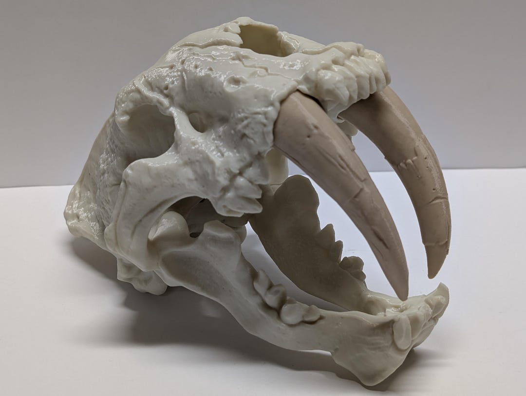 Awesome Sabertooth Tiger 3D Printed Skull Realistic Looking Lighter ...