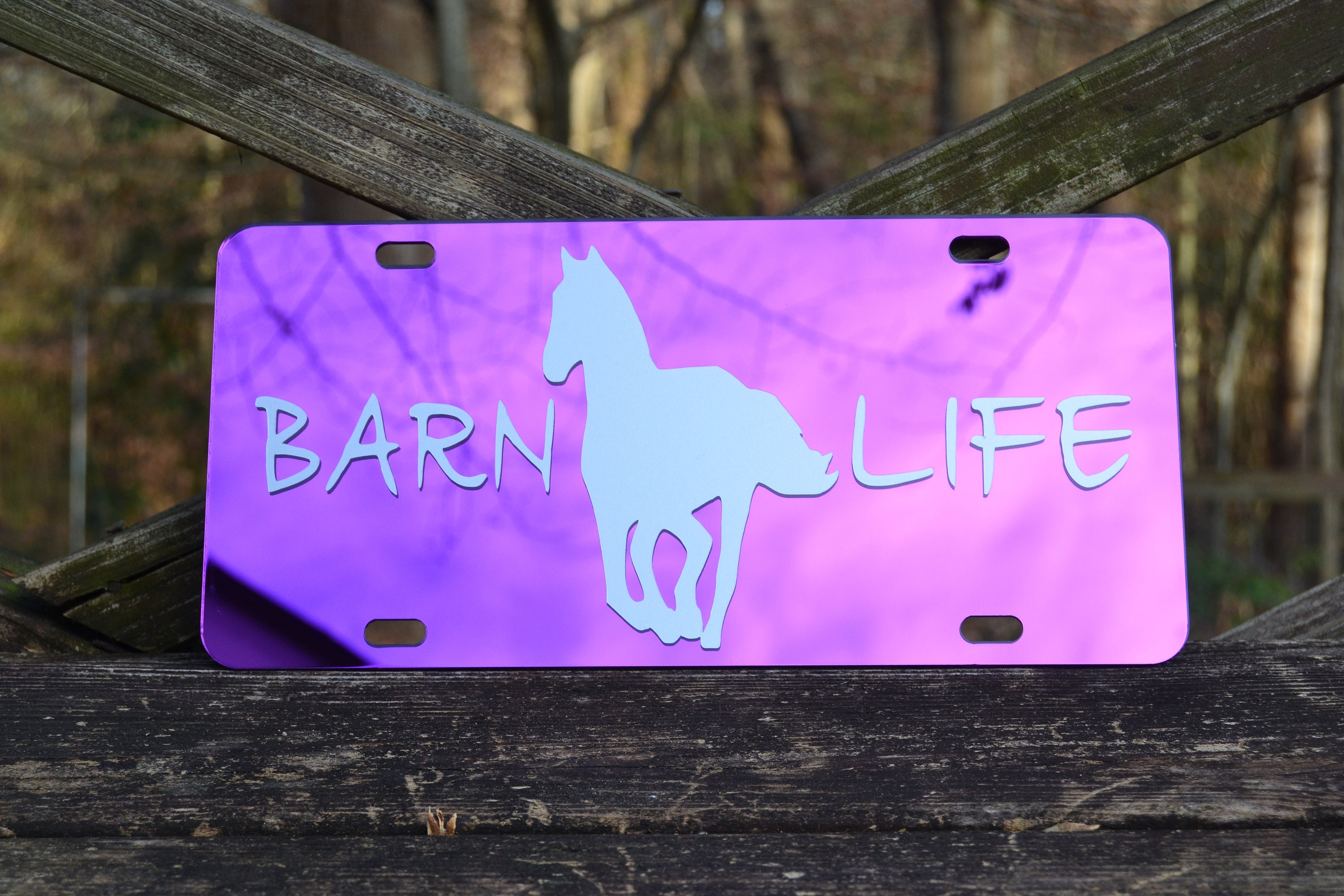 Mirrored Horse Barn Life License Plate | Etsy